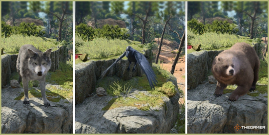 Best Baldur’s Gate 3 Druid and Ranger companions